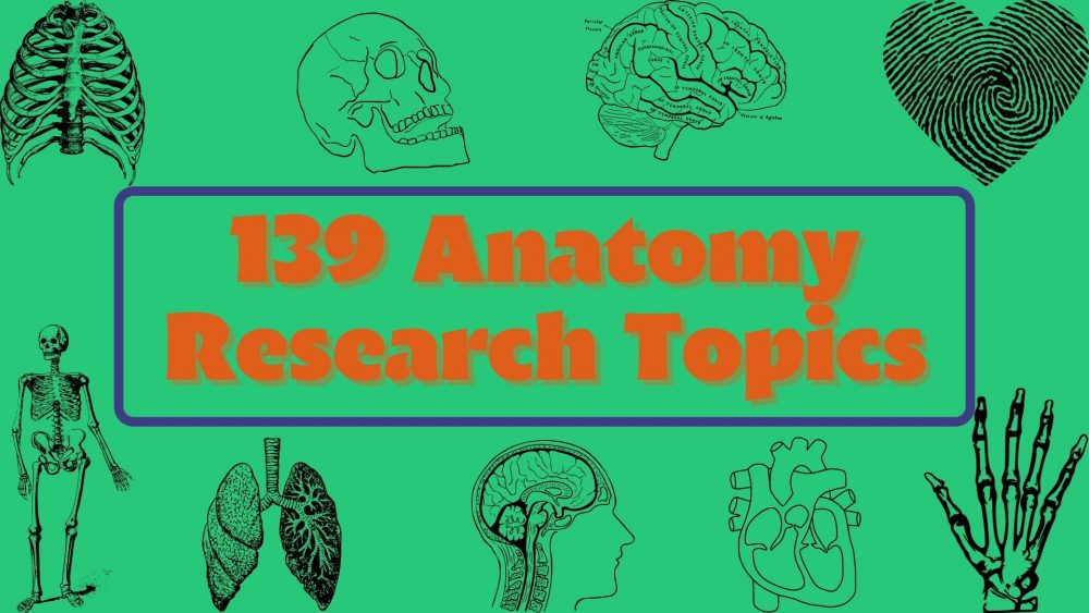 139 Anatomy Research Topics Best Ideas For Your Paper